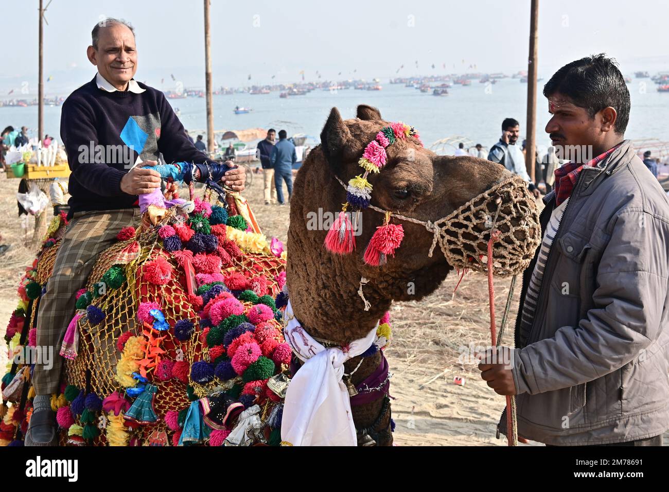 INDIA, PRAYAGRAJ, 8th JANUARY : Devotees ride on top of camel at the ...