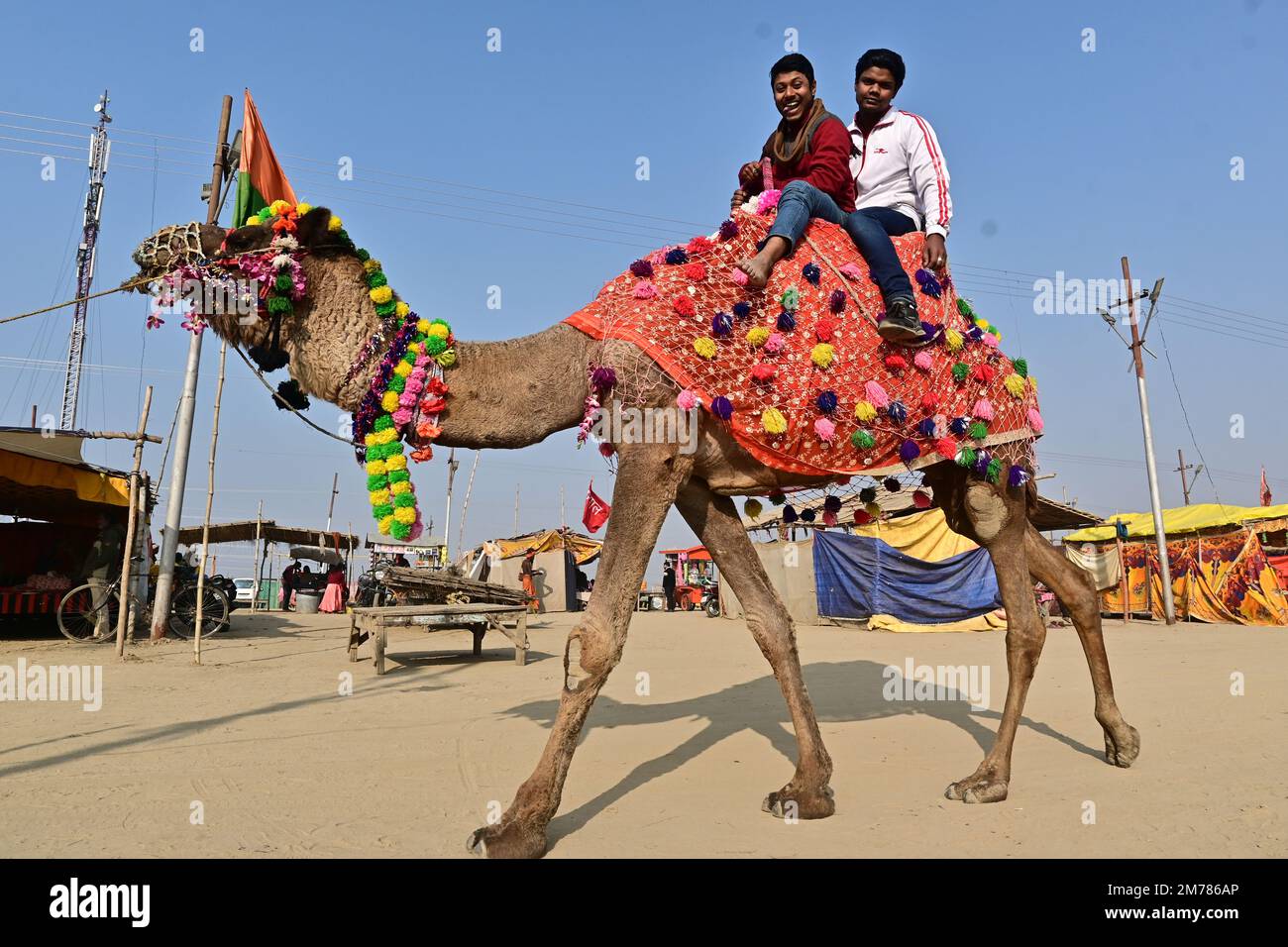 INDIA, PRAYAGRAJ, 8th JANUARY : Devotees ride on top of camel at the ...