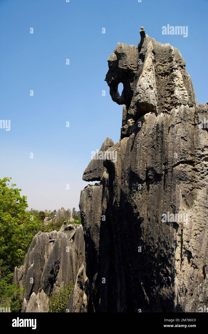 Stone stele forest hi-res stock photography and images - Alamy