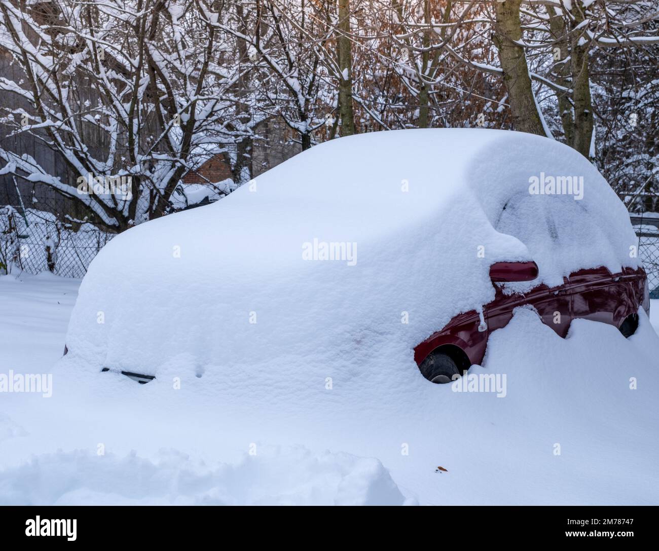 A closeup of a car covered with white fluffy snow in a backyard in ...