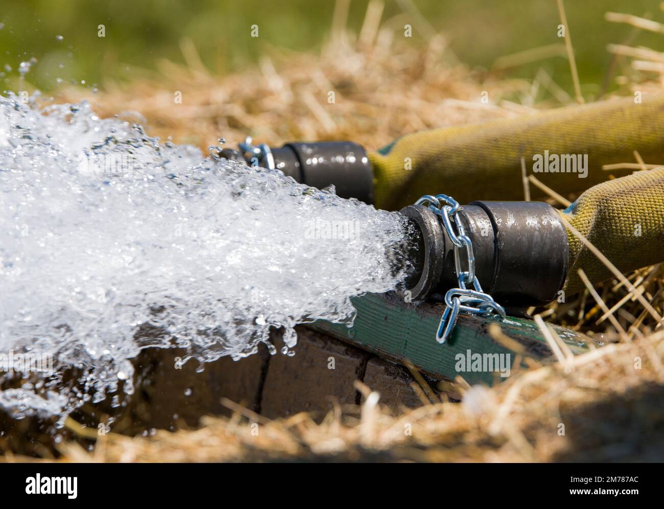 Fire hose spraying water isolated hi-res stock photography and images ...