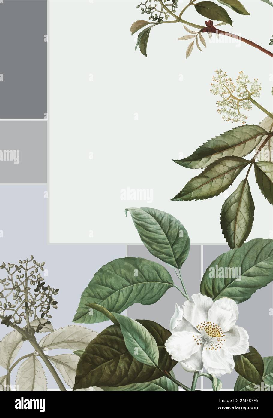 Vintage botanical frame design vector Stock Vector Image & Art - Alamy