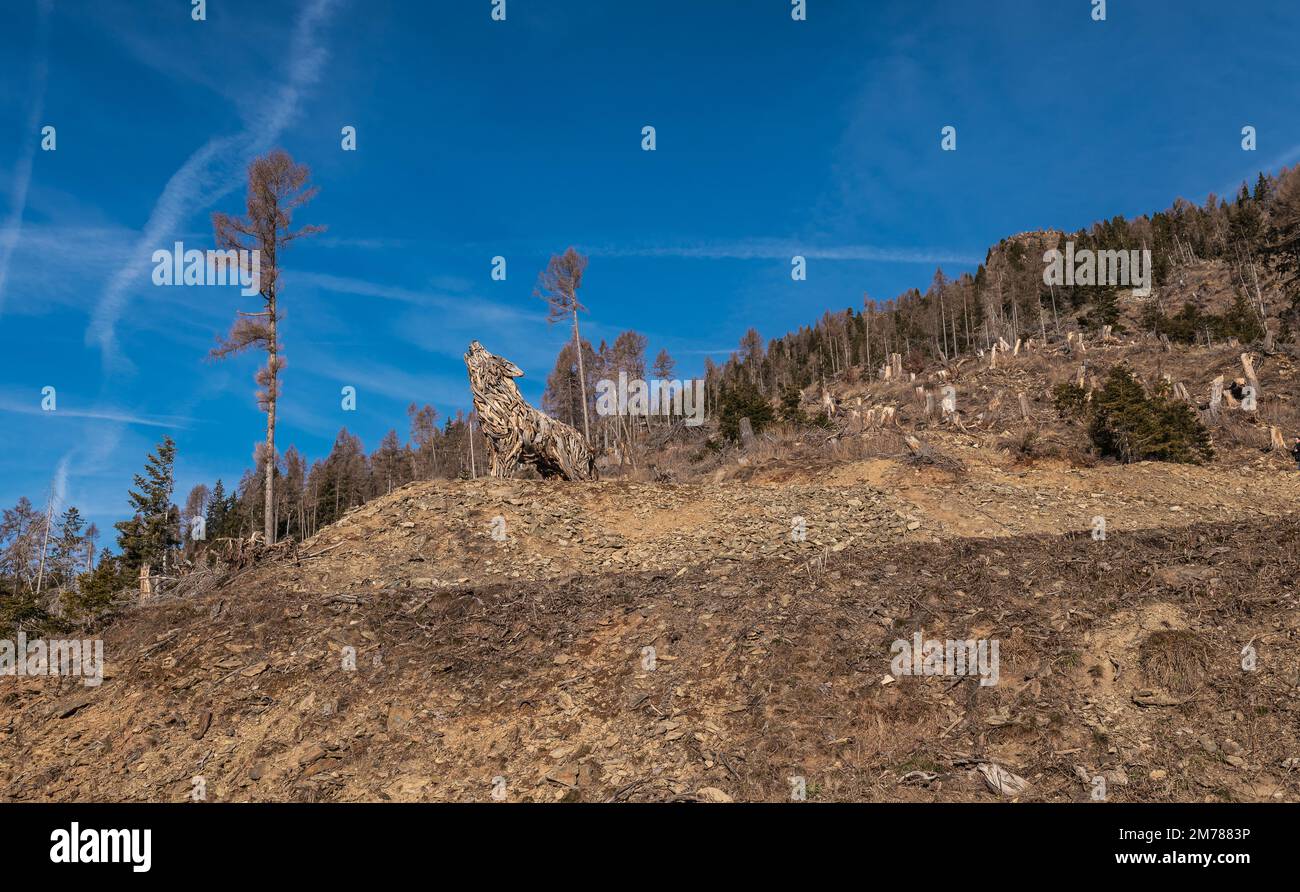 Lupa Vaia (Vaia Wolf). Wood sculpture with reclaimed wood from the Vaia ...