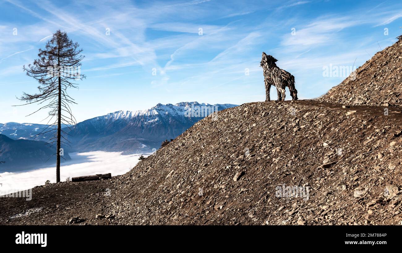 Lupa Vaia (Vaia Wolf). Wood sculpture with reclaimed wood from the Vaia ...
