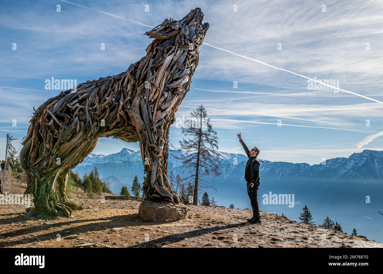 Lupa Vaia (Vaia Wolf). Wood sculpture with reclaimed wood from the Vaia ...