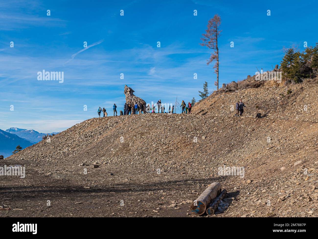 Lupa Vaia (Vaia Wolf). Wood sculpture with reclaimed wood from the Vaia ...
