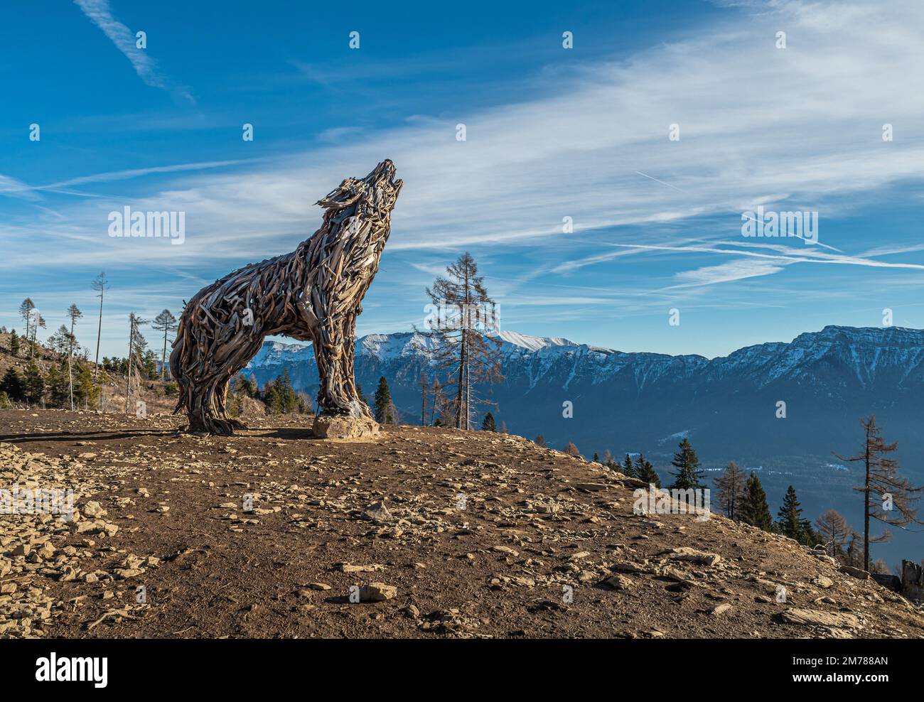 Lupa Vaia (Vaia Wolf). Wood sculpture with reclaimed wood from the Vaia ...