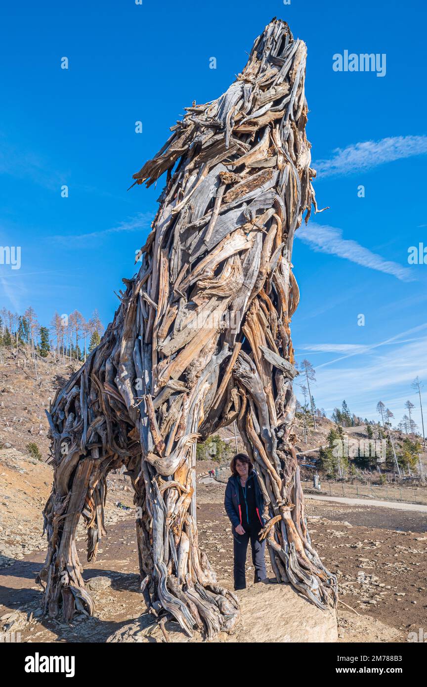 Lupa Vaia (Vaia Wolf). Wood sculpture with reclaimed wood from the Vaia ...
