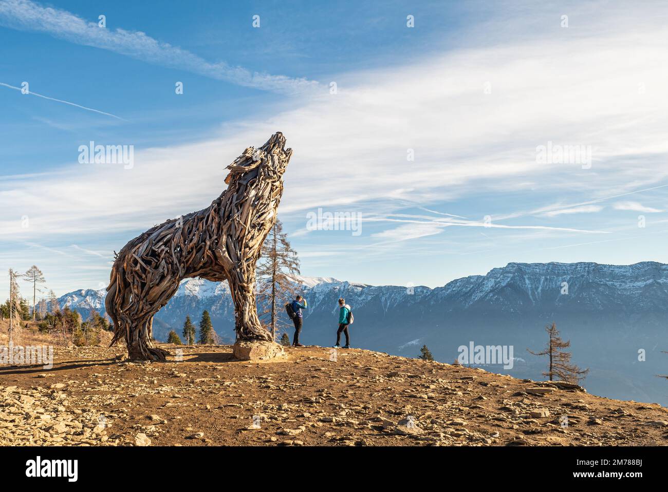 Lupa Vaia (Vaia Wolf). Wood sculpture with reclaimed wood from the Vaia ...