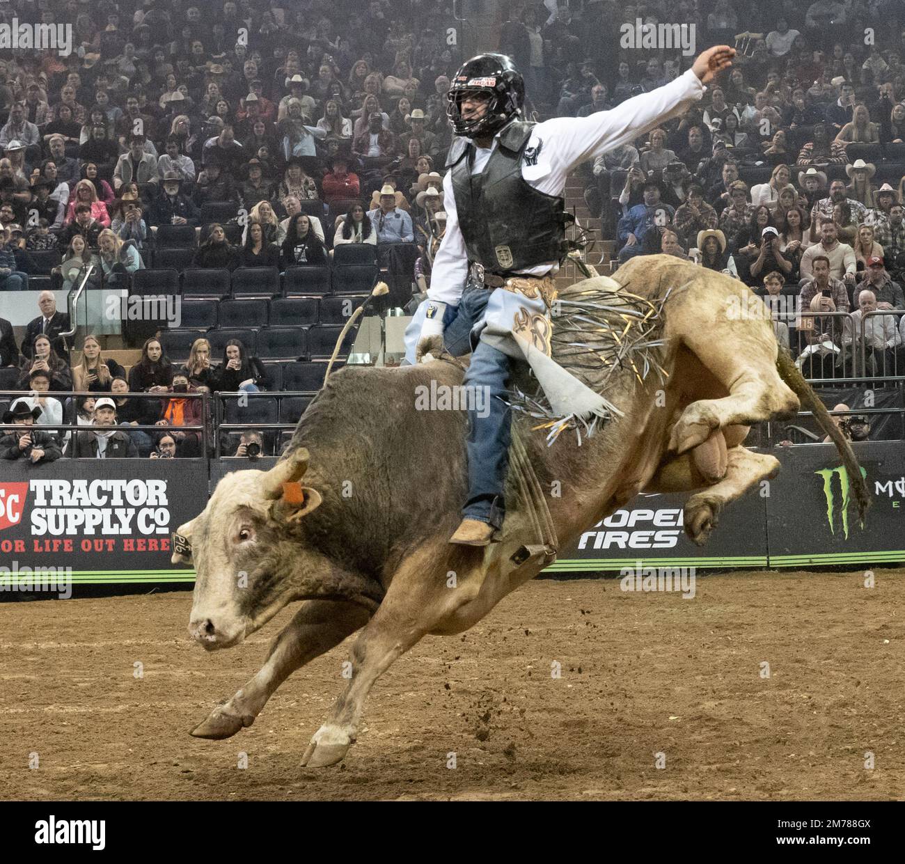 New York, New York, USA. 7th Jan, 2023. Professional bull rider JOAO ...