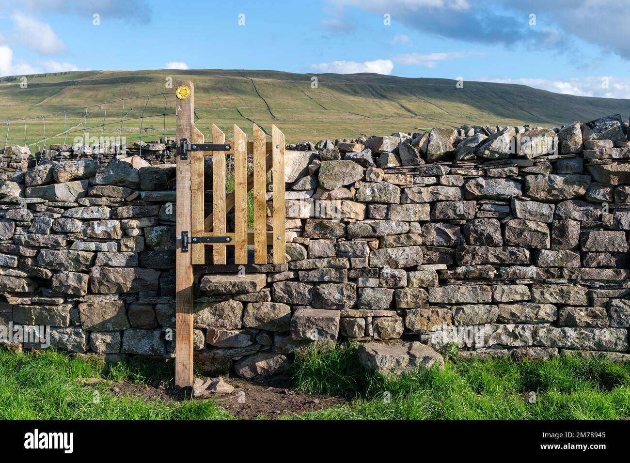 Newly built drystone wall with a handgate built in on a public footpath ...