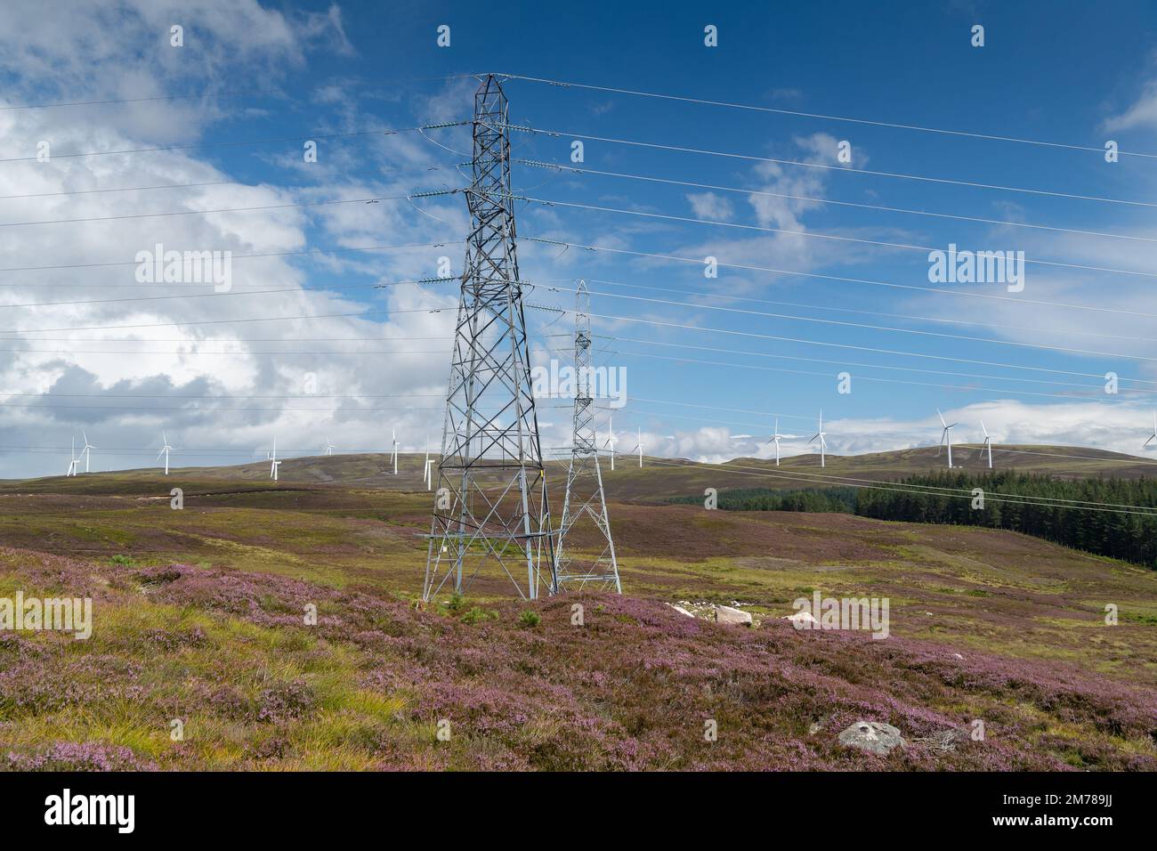 Electricity powerlines marching across a Scottish moor, with Wind ...