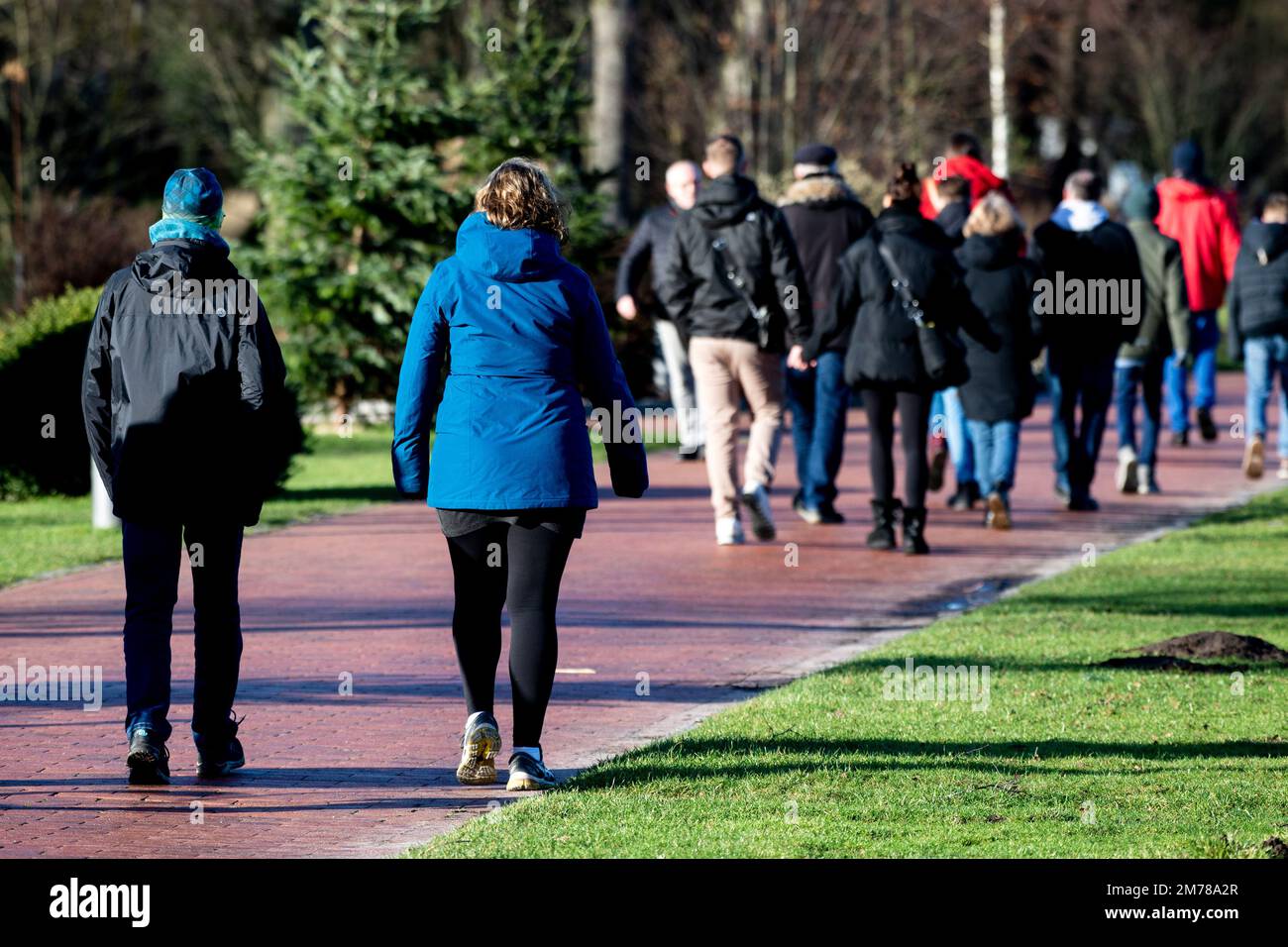 Bad Zwischenahn, Germany. 08th Jan, 2023. Walkers are out and about in ...