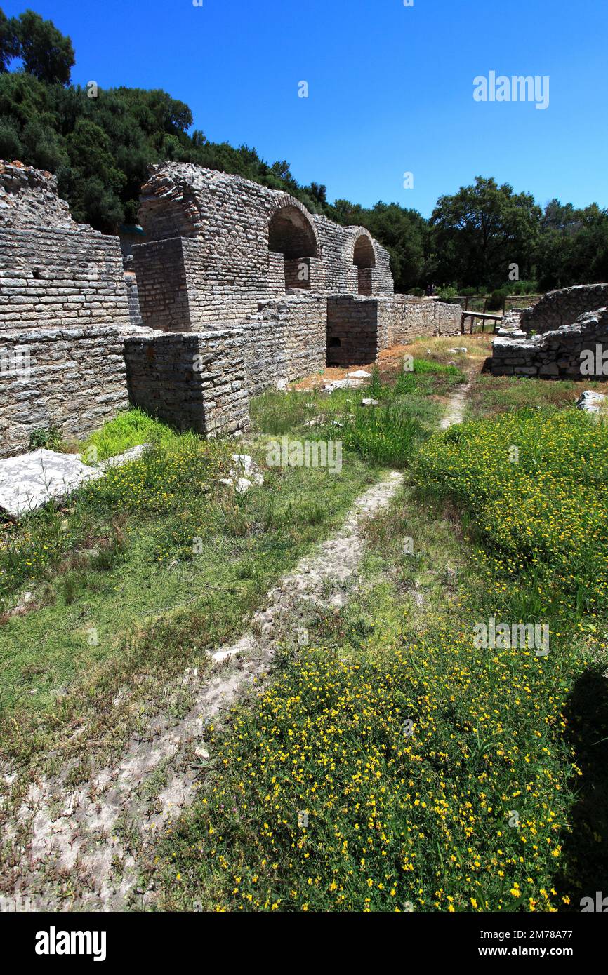 Ruins of the Roman Colony buildings, ancient Butrint, UNESCO World ...