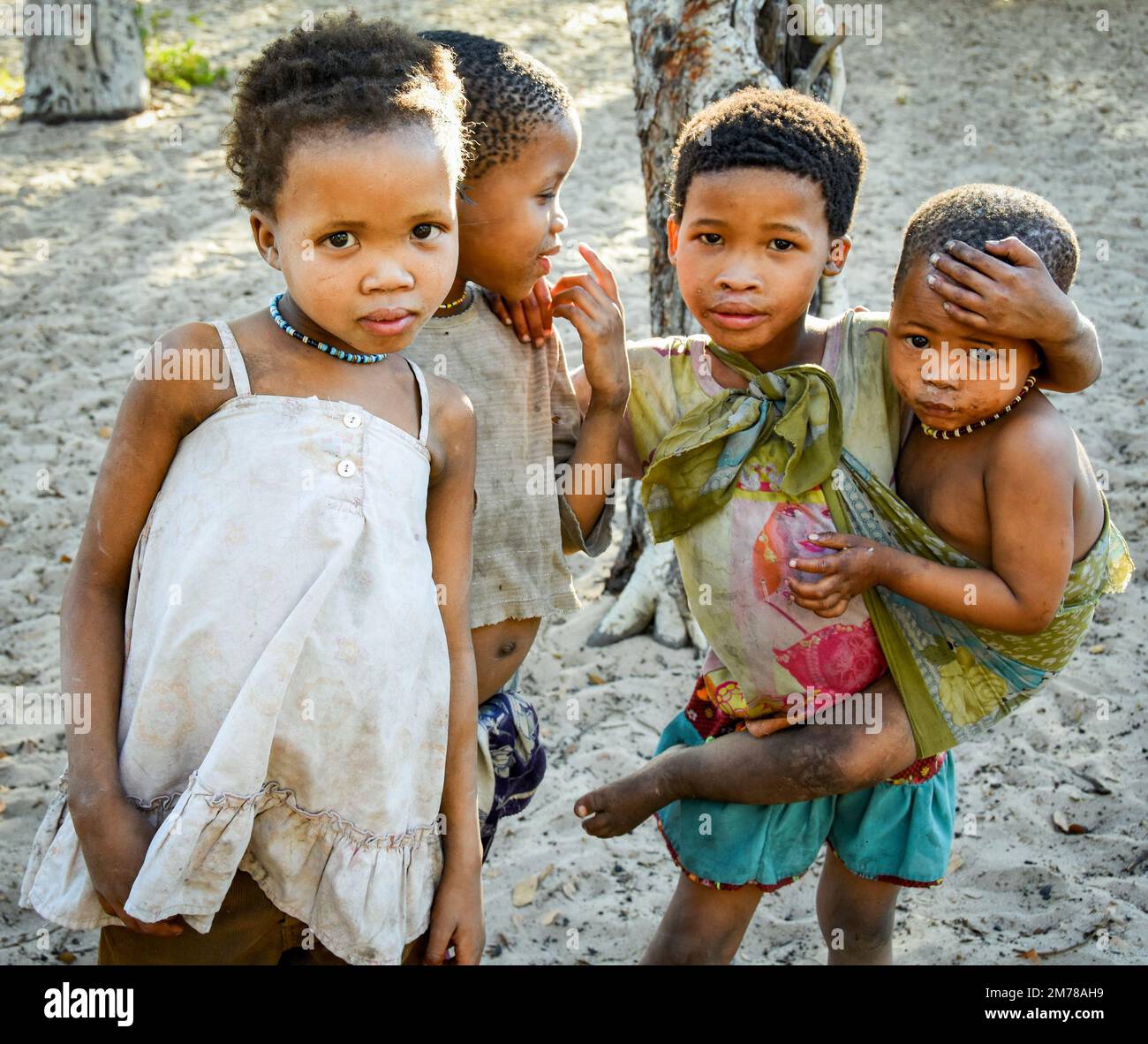 Sans bush hi-res stock photography and images - Alamy