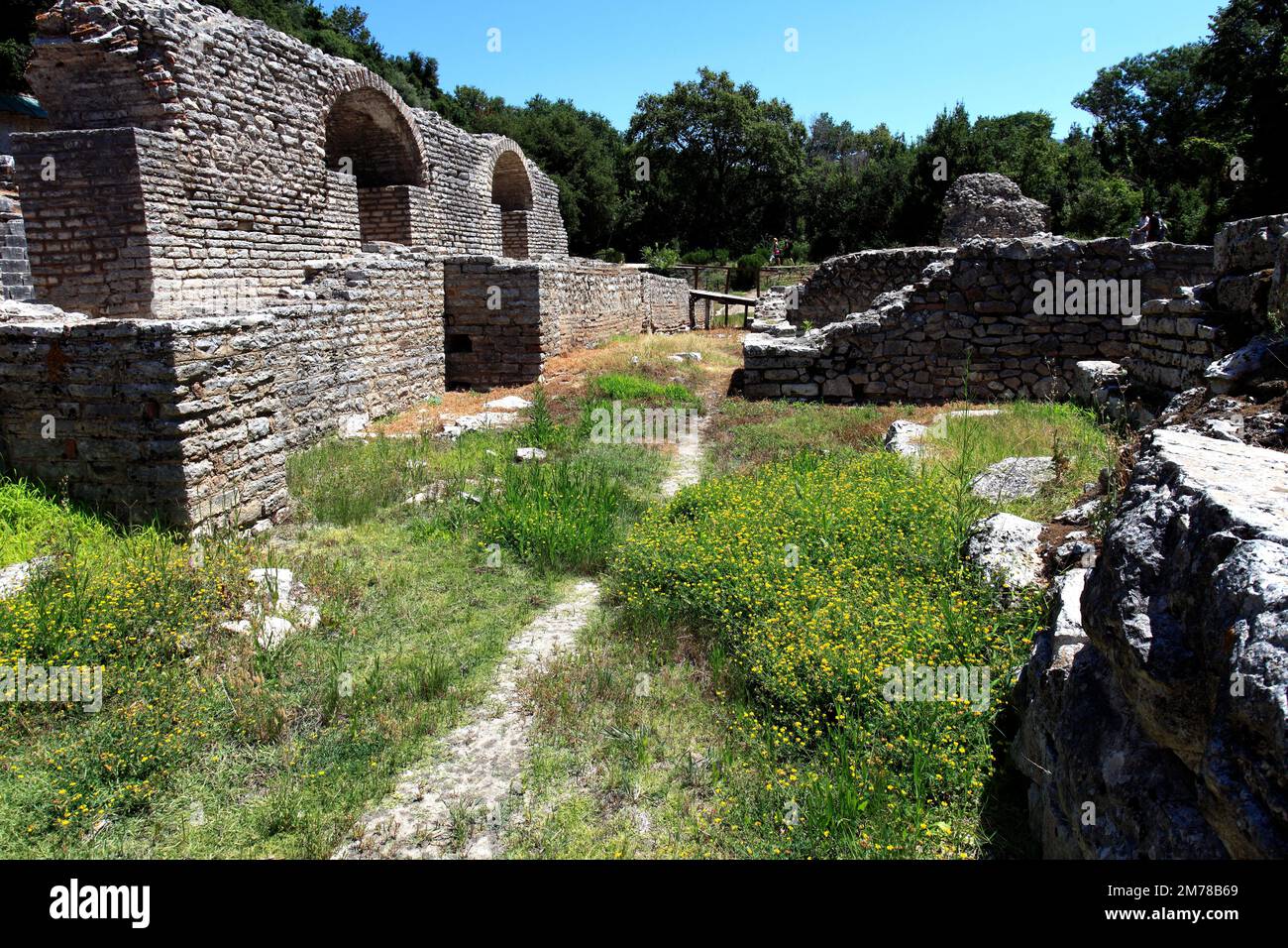 Ruins of the Roman Colony buildings, ancient Butrint, UNESCO World ...
