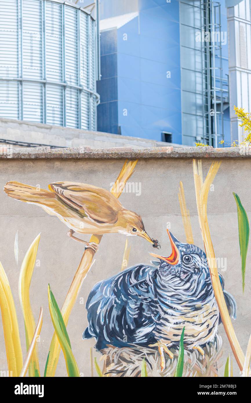 Street Art, Ivars d'Urgell, Catalonia, Spain Stock Photo - Alamy