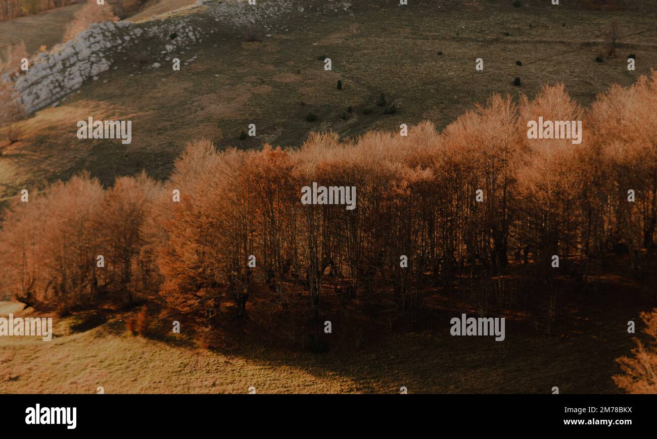 A high-angle of an autumn landscape with sunlit yellow valleys and ...