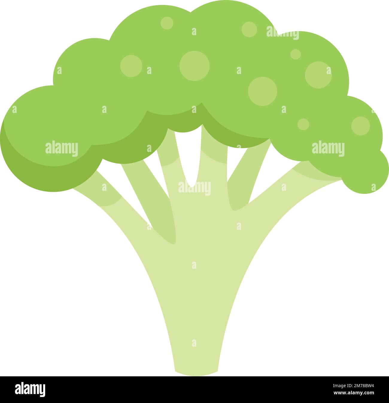 Eco broccoli icon flat vector. Farm agriculture. Organic garden ...