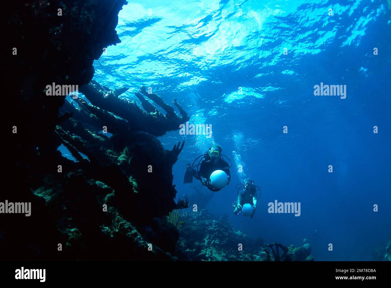 "The Great Wall of China" Buck Island Reef National Monument, St. Croix ...