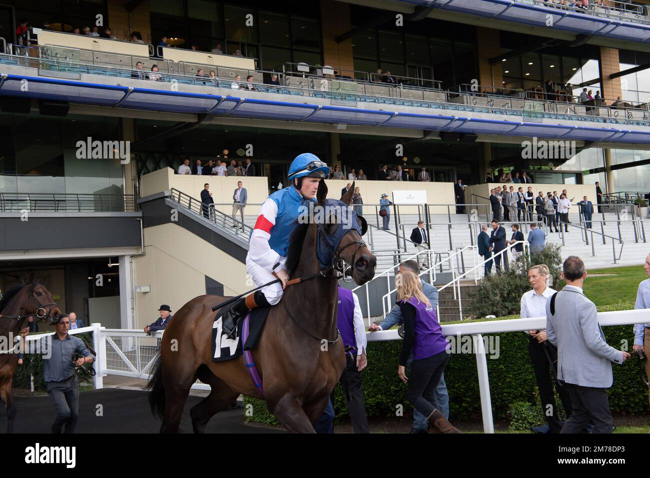 Dylan hogan hi-res stock photography and images - Alamy