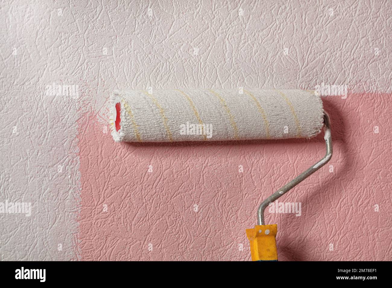 An old, fuzzy paint roller draws pink wallpaper on the wall with white ...
