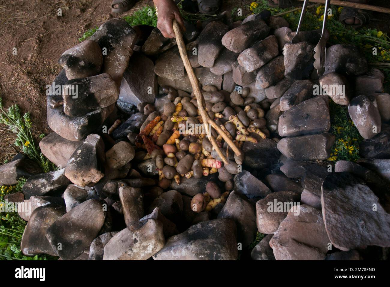 Variety of tubers and vegetables. In the pachamanca ceremony, lamb ...