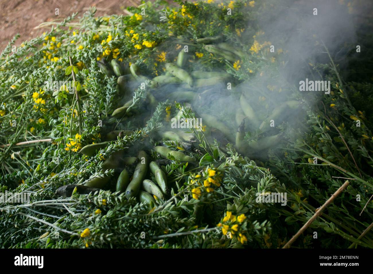 In the pachamanca ceremony, lamb, alpaca, pork and beef are cooked ...
