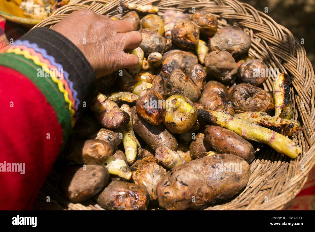 Variety of tubers and vegetables. In the pachamanca ceremony, lamb ...