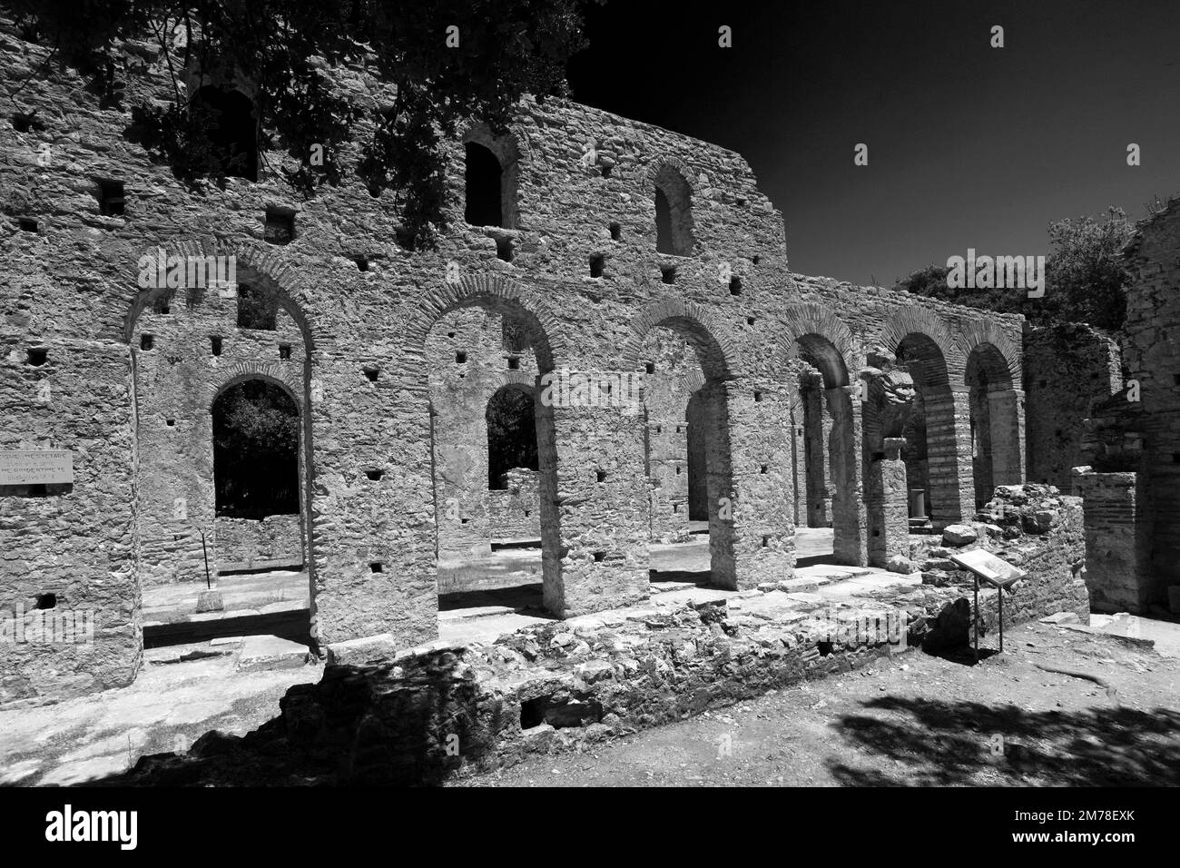 Ruins of the Great Basillica, ancient Butrint, UNESCO World Heritage ...