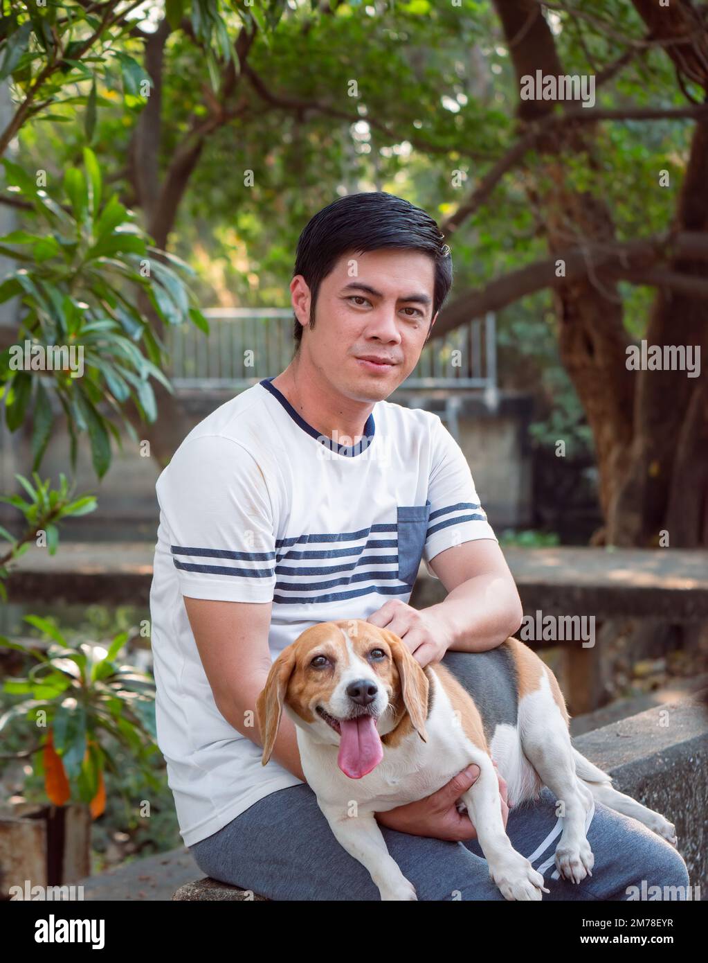 Man walking his cute Beagle dog in an autumn nature at sunset. Cute ...