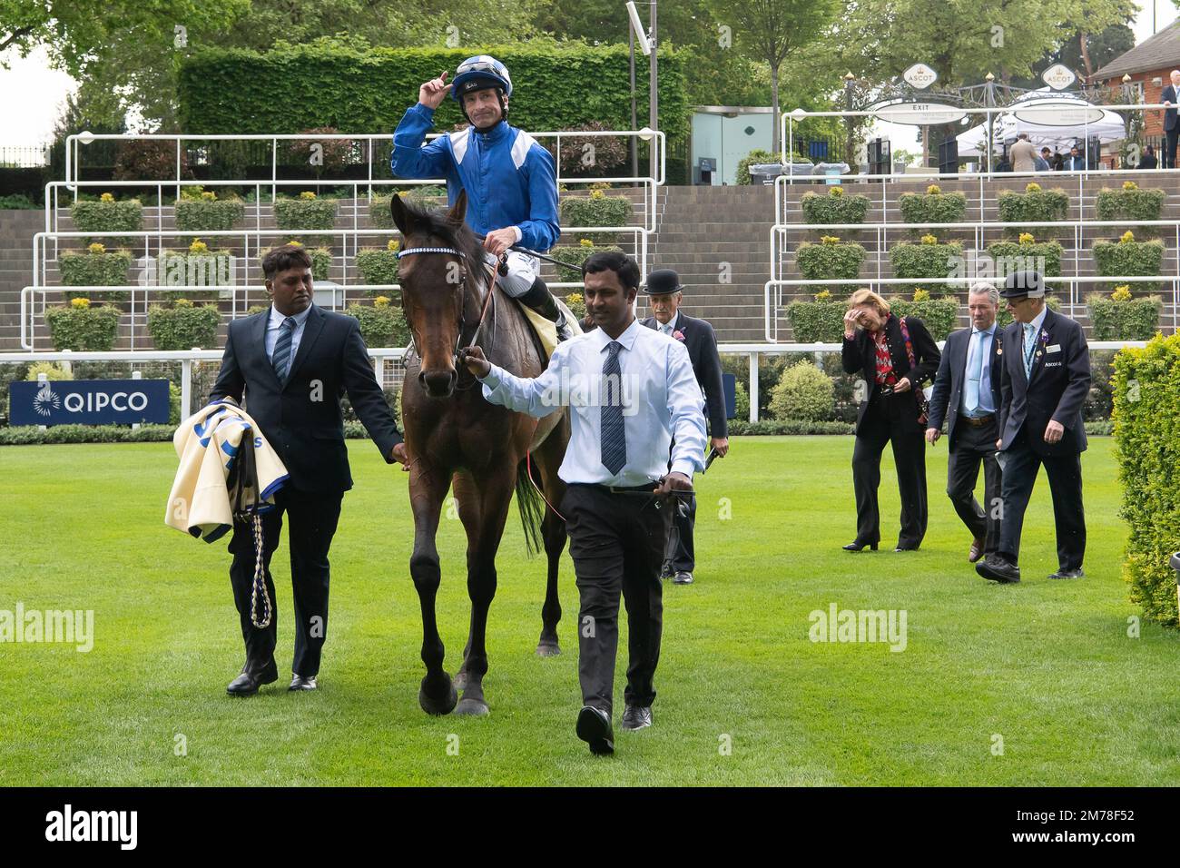 The carey group buckhounds stakes hi-res stock photography and images ...