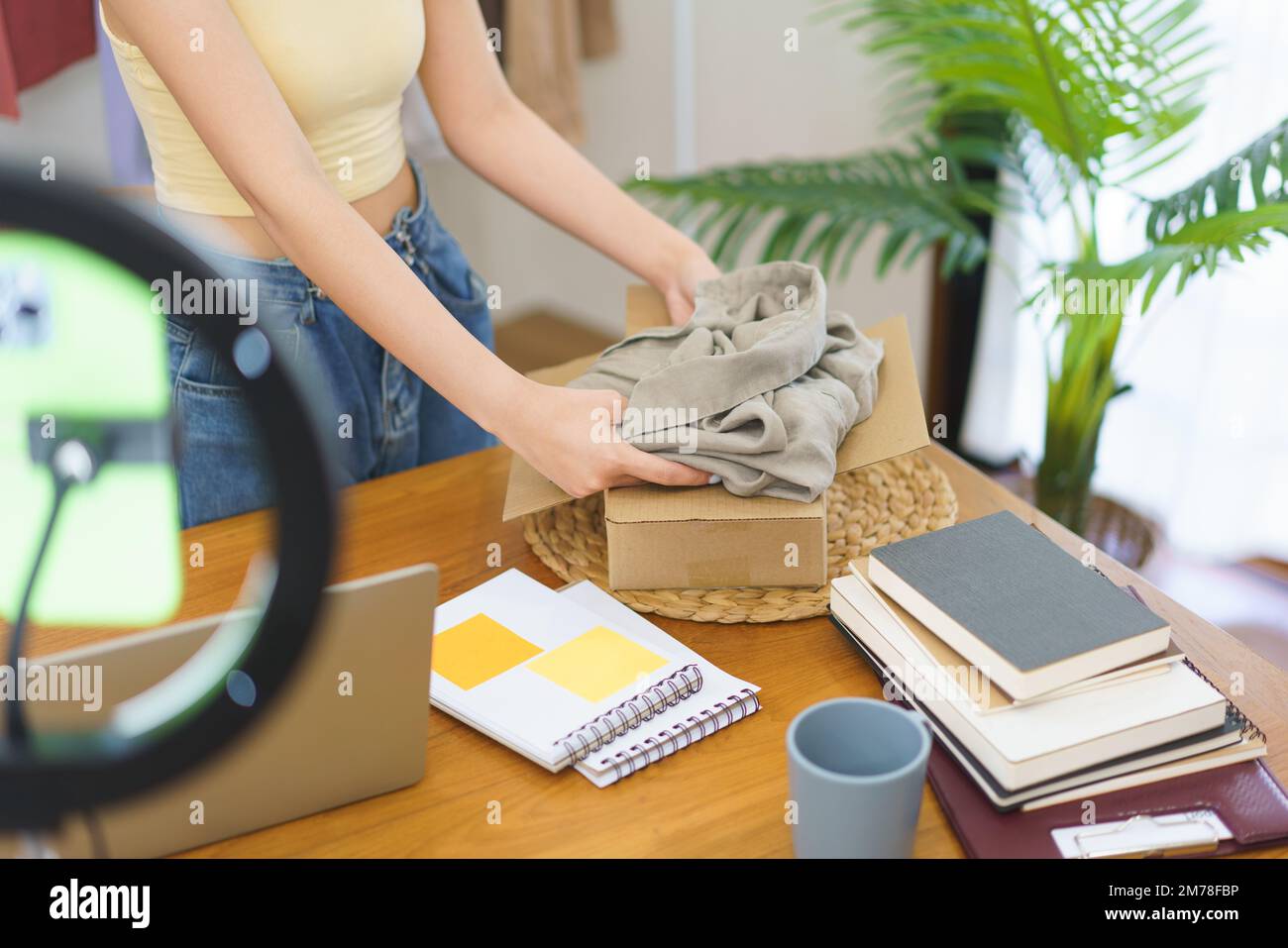 Online merchant concept, Fashion designer packing clothes in parcel box ...