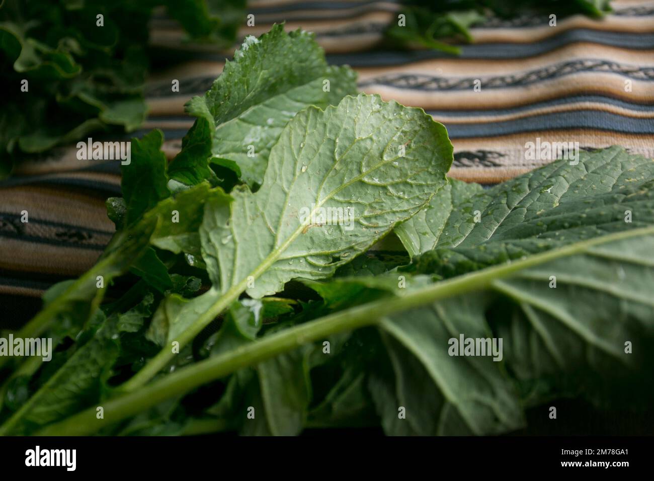 Cooking a traditional Andean vegetable soup before a Pachamanca feast ...