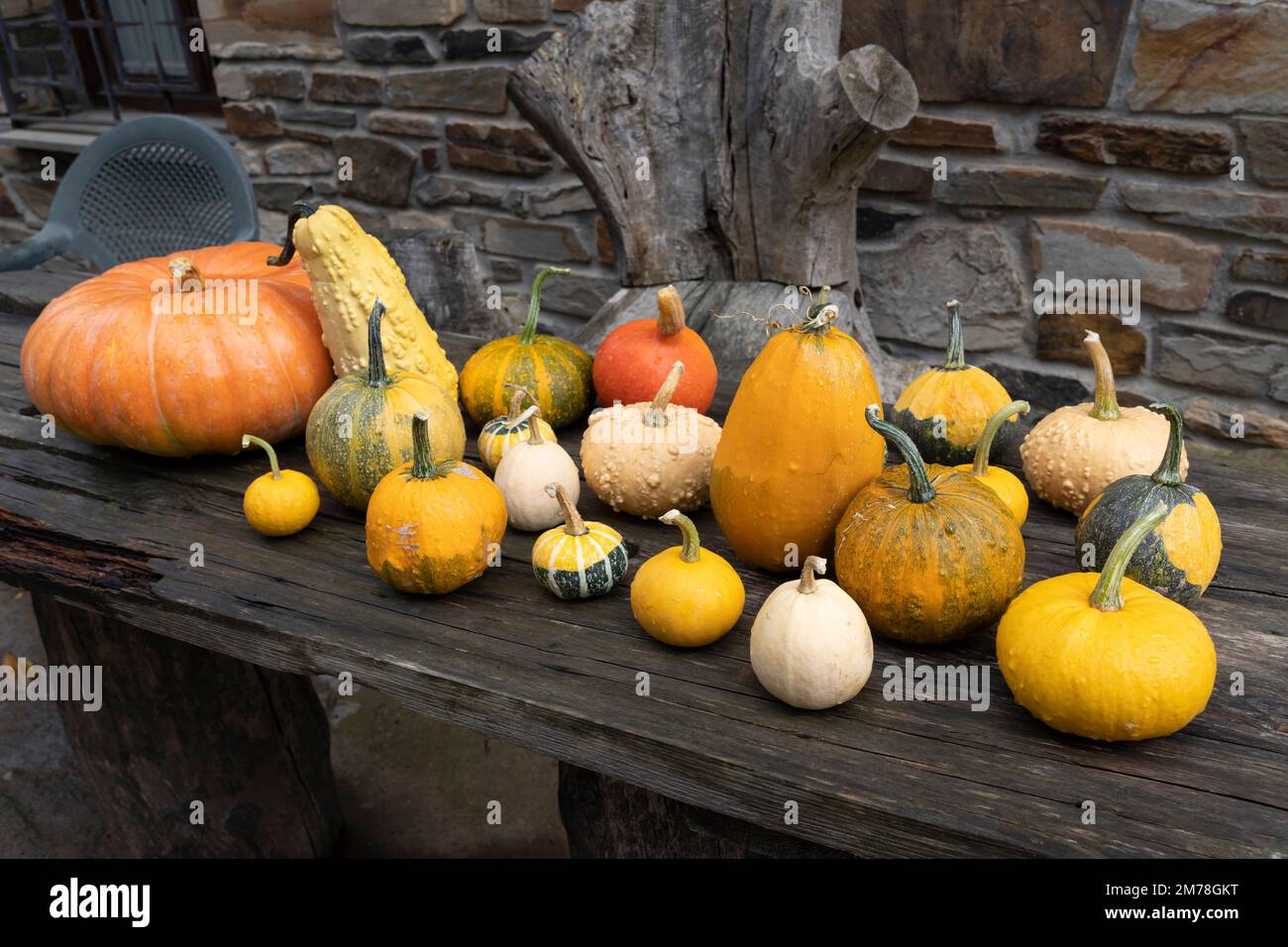 A colorful arrangement of gourds in the village of Rabanal del Camino ...