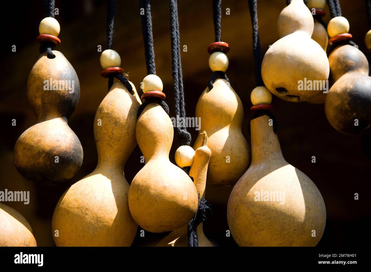 Yunnan,Yunnan Minzu Garden Stock Photo - Alamy