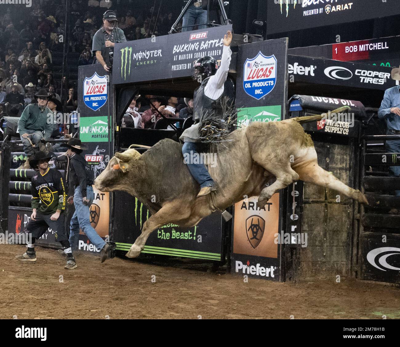 New York, New York, USA. 7th Jan, 2023. Professional bull rider JOAO ...