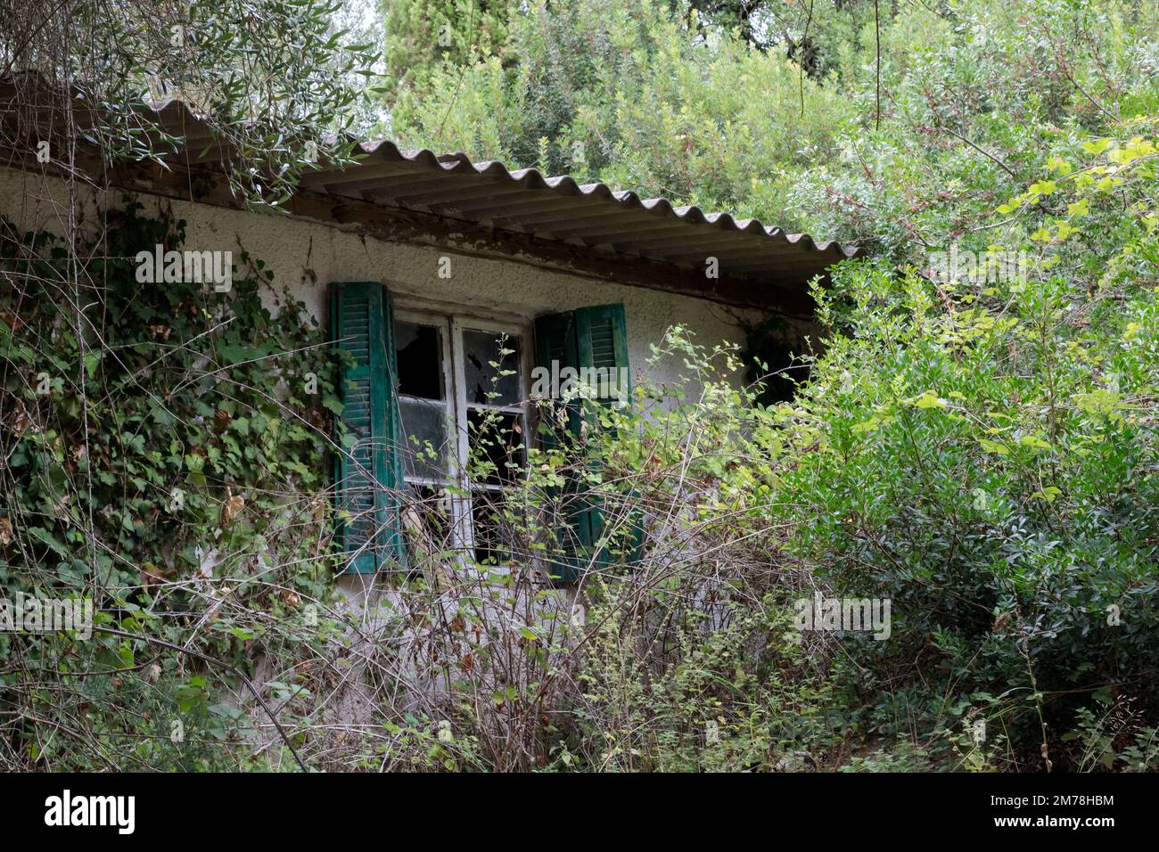 Overgrown house hi-res stock photography and images - Alamy