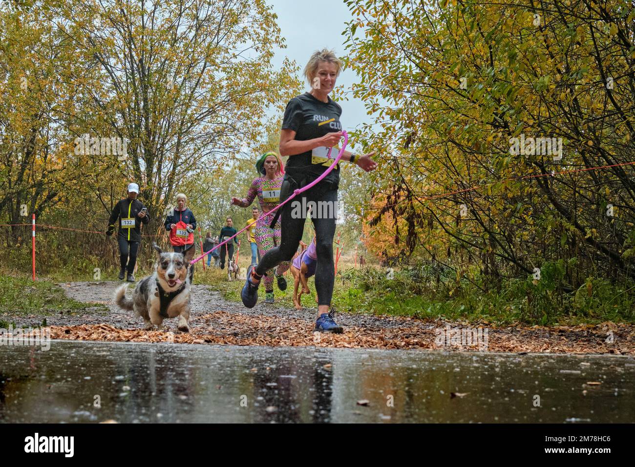 Dog owners run together with their dogs in an organized running ...