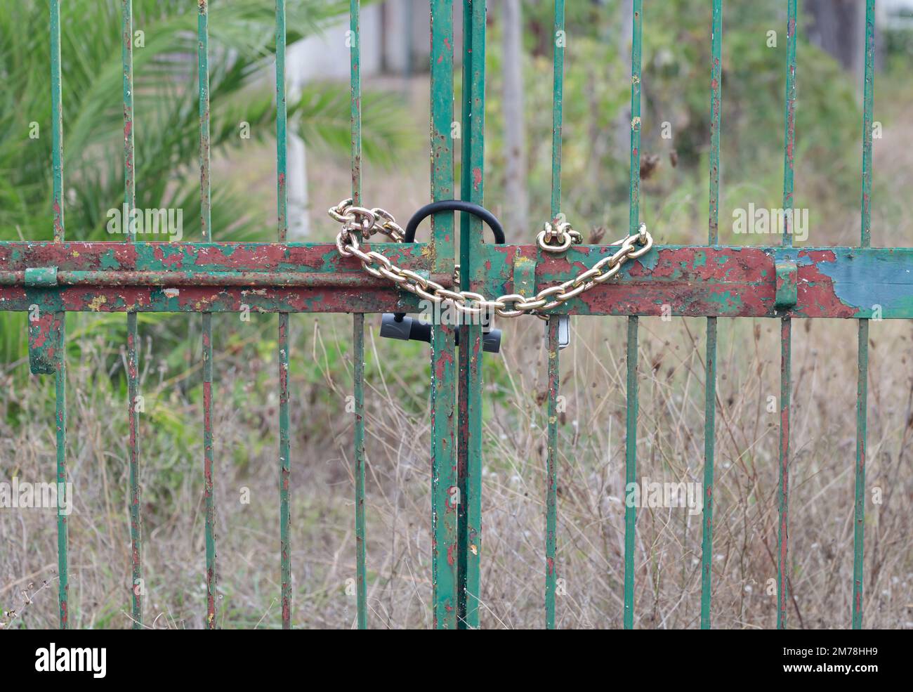 Rusty gate with locked master key and chain Stock Photo - Alamy