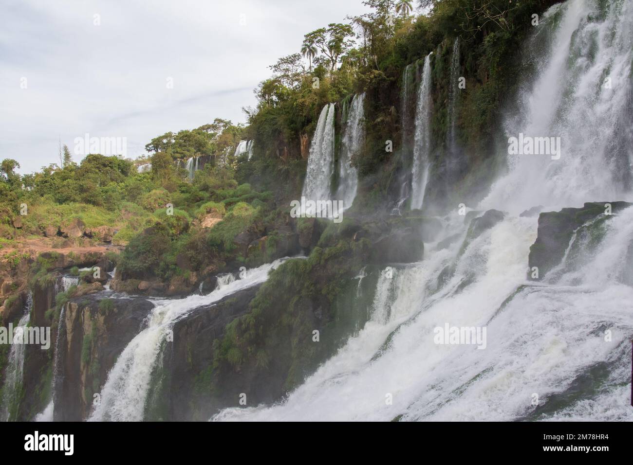 A landscape scene of Iguazu waterfalls with trees in Argentina with ...