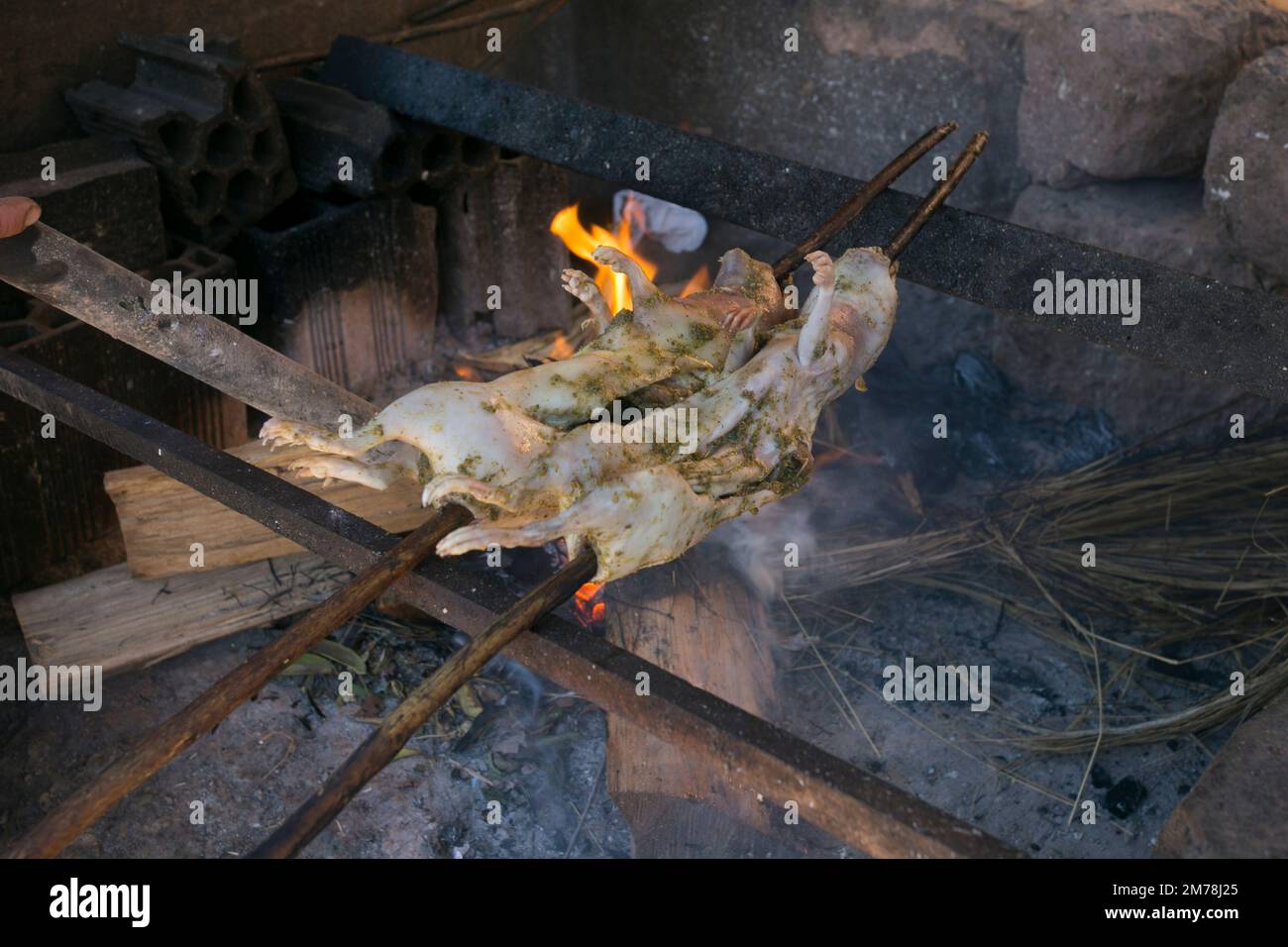 Cui al palo. Cui is the name of the Guinean Pigs in Perú. People in ...