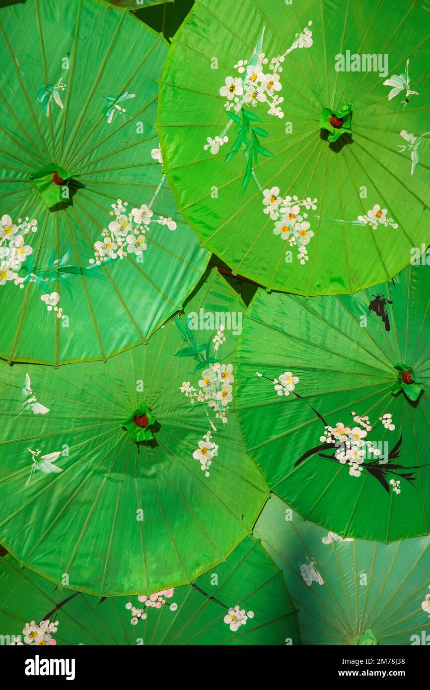 Yunnan,Yunnan Minzu Garden Stock Photo - Alamy