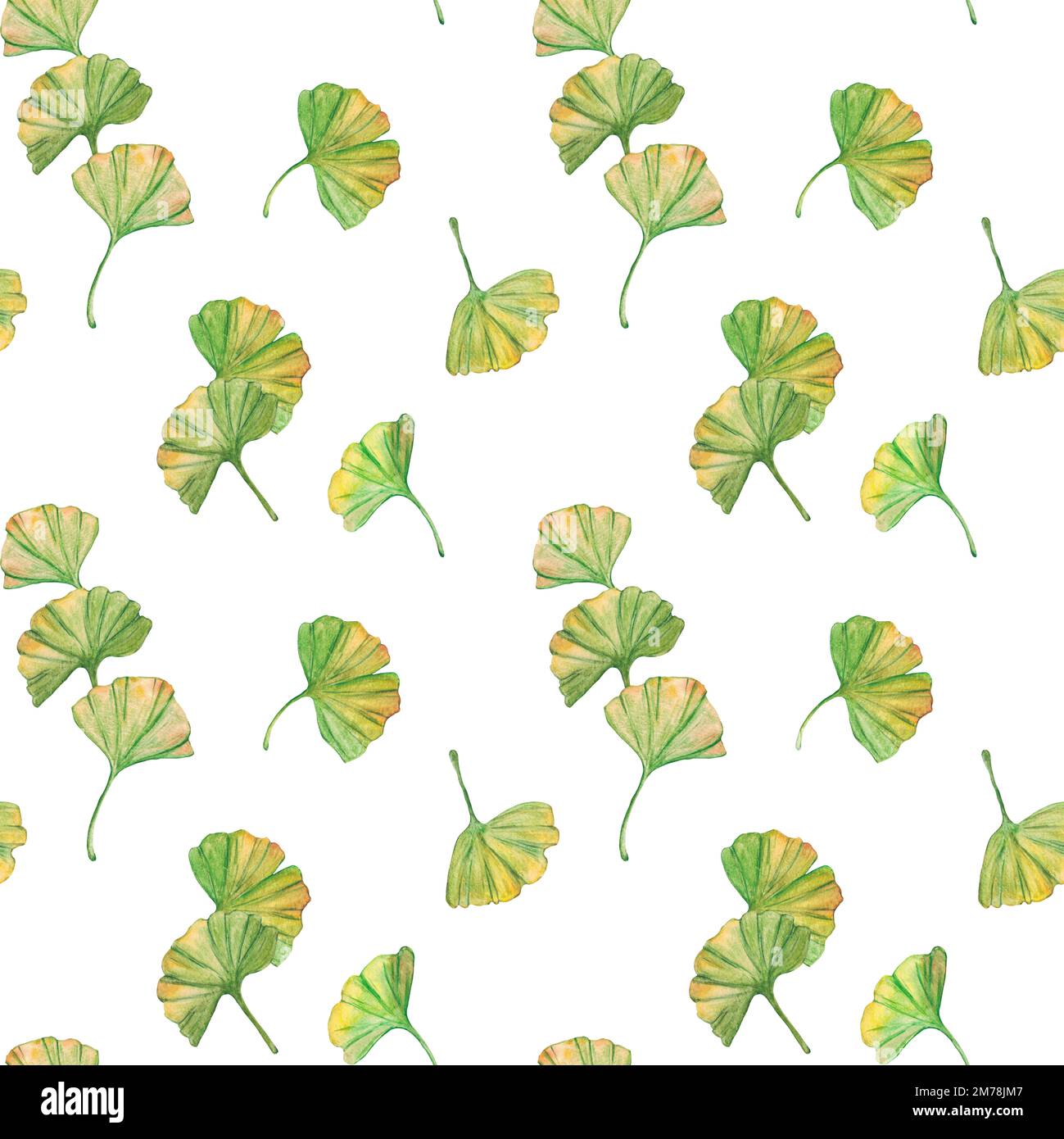 Seamless pattern ginkgo biloba green and yellow leaves, print botany ...