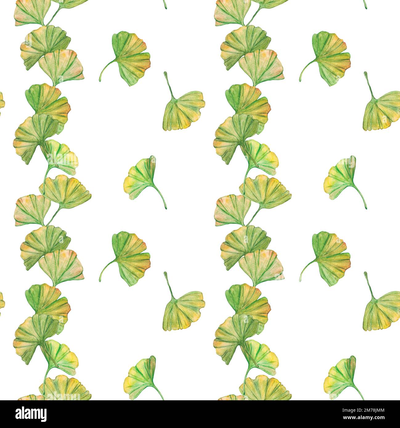 Seamless pattern ginkgo biloba green and yellow leaves, print botany ...