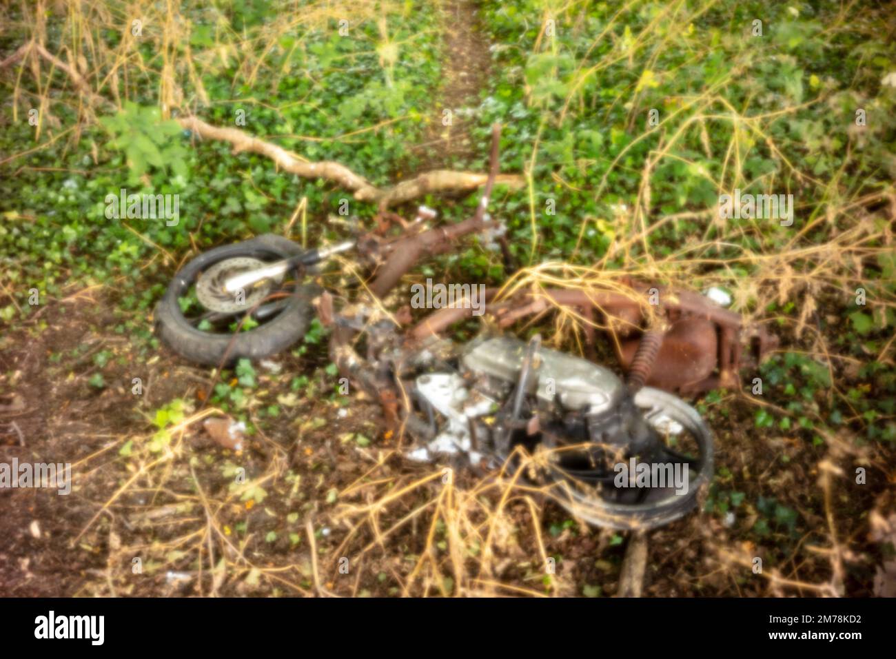 New, Age-defying, digital age, lensless, stand-out, high resolution ...