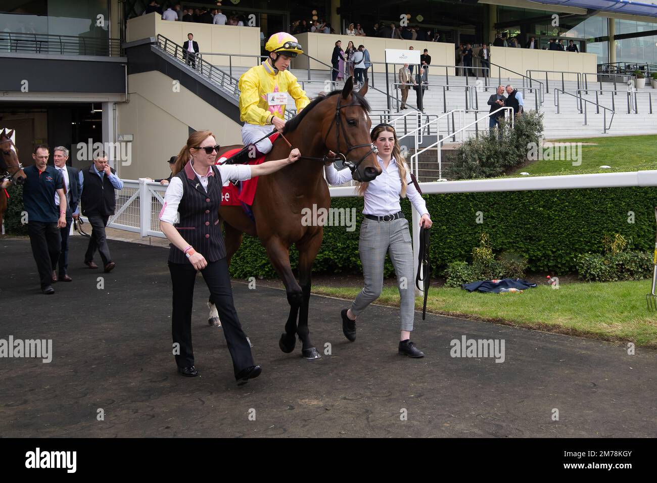 George rooke jockey hi-res stock photography and images - Alamy