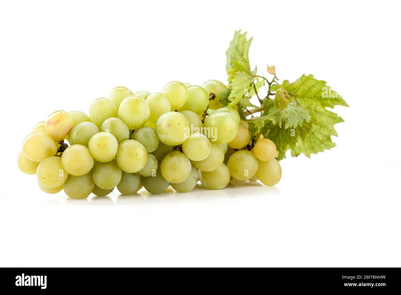 Grape seed oil on white background. The image also shows light grapes ...