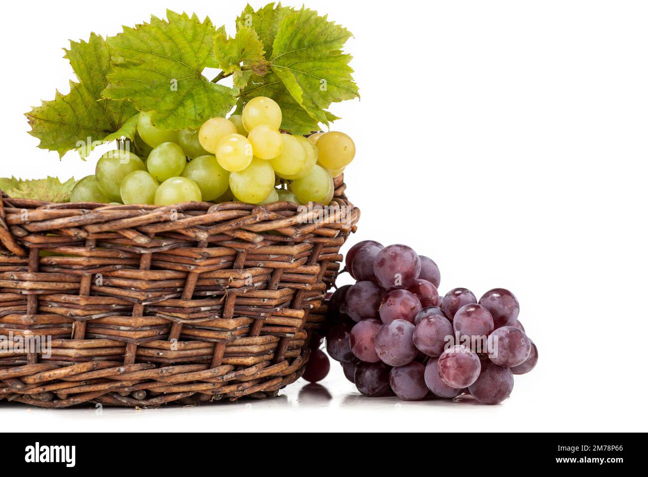 Grape seed oil on white background. The image also shows light grapes ...
