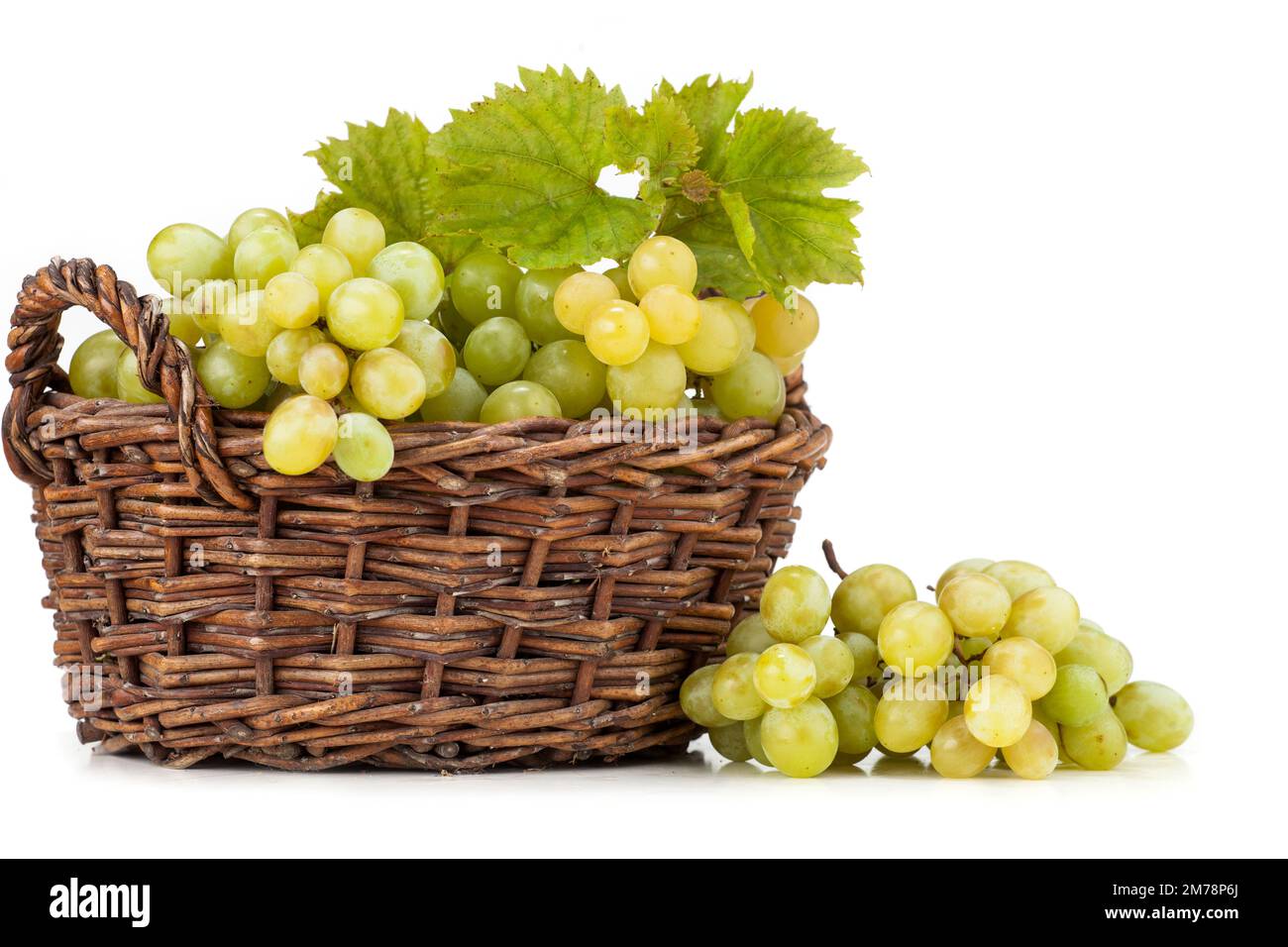 Grape seed oil on white background. The image also shows light grapes ...